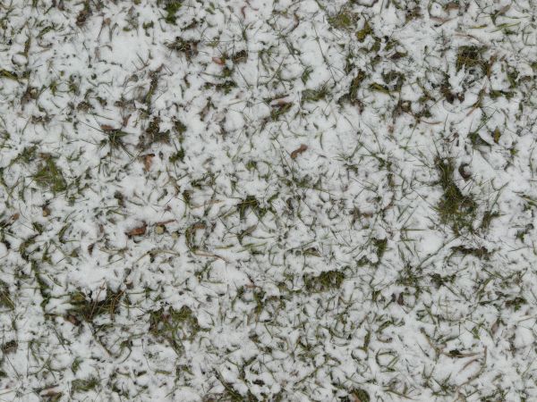 frozen ground texture 0046 - Texturelib